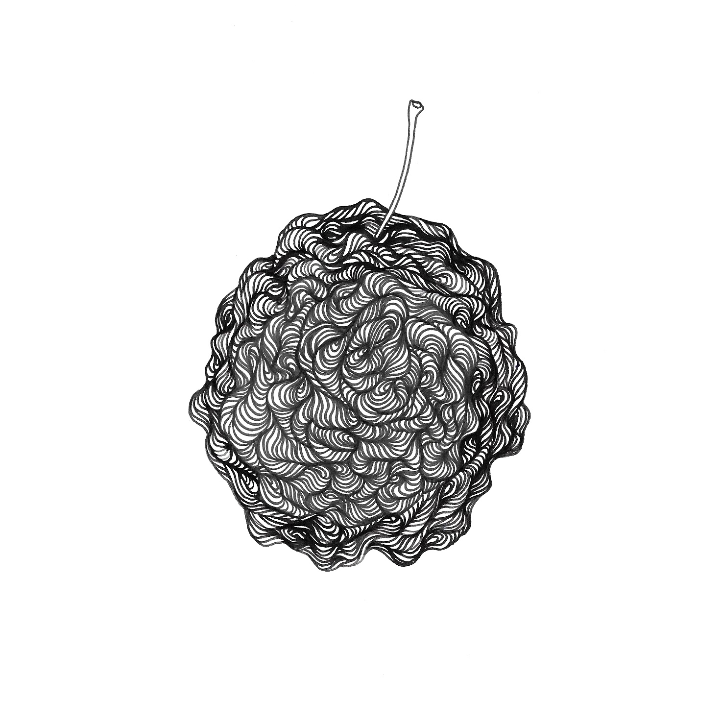 Kurk Kurk | Automatic Drawing | Creativity